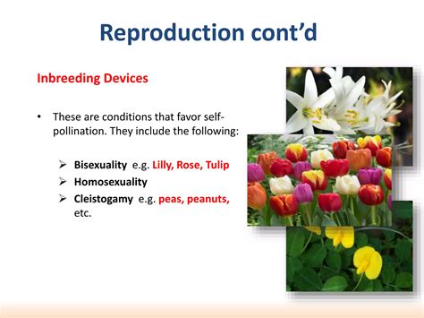 Angiosperms Flowering Plants Powerpoint Presentation Pptx