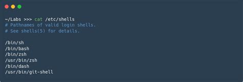 Apa Itu Shell Dan Fungsinya Pada Linux