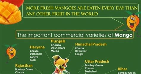Mango World Magazine Est 2000 Indias Mango Exports To Remain Below