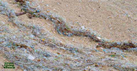 Innovations In Microplastic Detection And Remediation