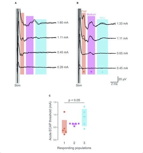Recordings Of Electrically Evoked Neural Responses A Typically N