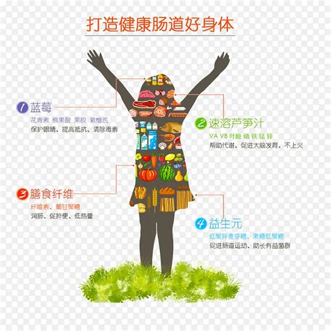 人体健康饮食金字塔png图片素材下载 图片编号10021287 Png素材网