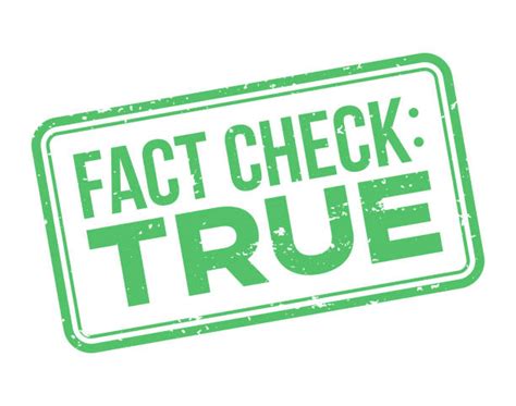 320 Fact Check Stock Illustrations Royalty Free Vector Graphics