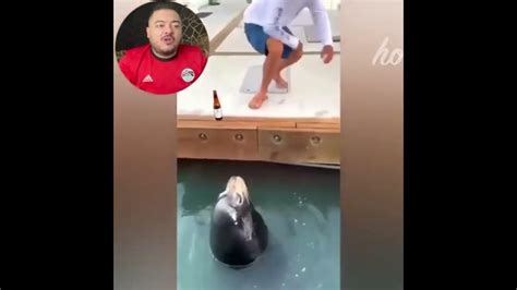 تجميعه فيديوهات مضحكه مش خساره فيها النت 😂 Youtube