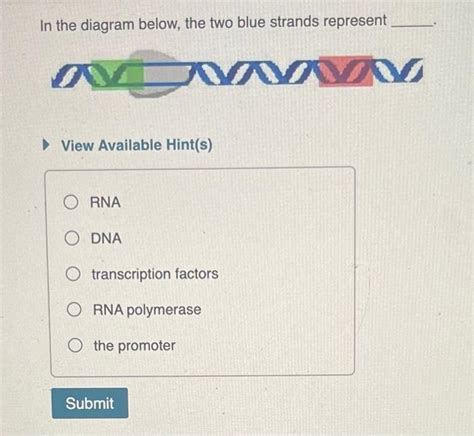 Solved In The Diagram Below The Gray Unit Represents Rna