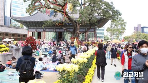 조계사 시월에 국화는 시월에 핀다더라 국화 나눔 전시회