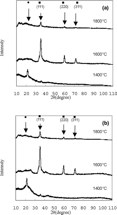figure 1 from thermoelectric properties of sic c composites from wood