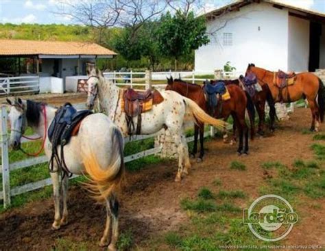 Lordão Imóveis Fazenda Real III