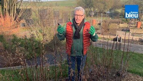 Roland Motte Jardinier Taillez Vos Framboisiers Ici