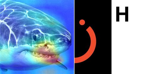 List Pytorch Implement Curated By Hayley Evans Medium