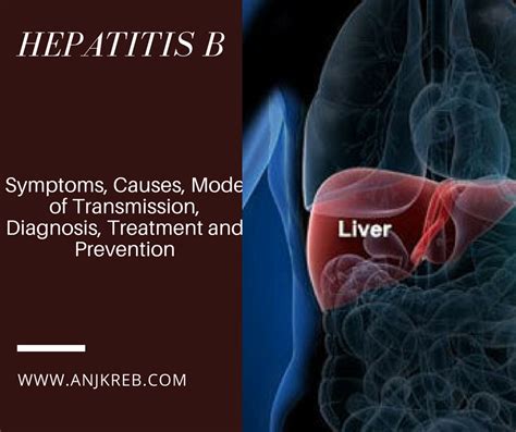Hepatitis B Overview Mode Of Transmission Signs Symptoms Treatment And Prevention AnjKreb