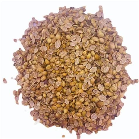 Scooter Split Coriander Seeds At ₹ 89 Kg Utpan Nagar Dhoraji Id 2853676920962