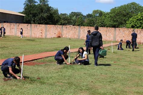 Itaipú Apoya Plantación De 200 árboles Nativos En Plaza De Hernandarias
