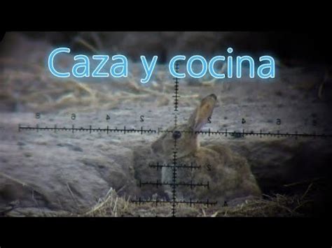 Caza De Conejos A La Espera Con Carabina Pcp Waiting Rabbit Hunting