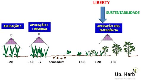 Manejo De Plantas Daninhas Em Soja LibertyLink