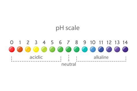 Gráfico De Escala De Valores De Ph Para Soluções ácidas E Alcalinas