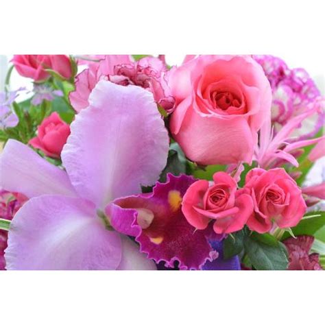 「プチ贅沢なアレンジ Lovesense （カトレアとバラのフラワーアレンジメント）ピンク系 誕生日、結婚記念日、お祝い」 花屋「（株）川田