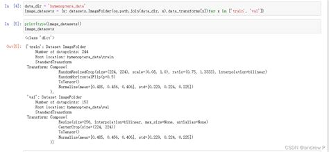 Pytorch数据加载与处理 Csdn博客