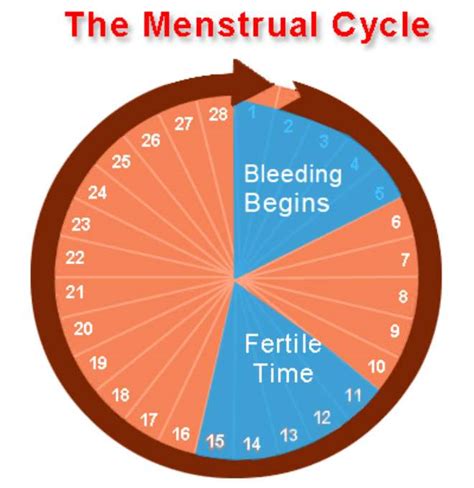 When Is My Safe Period