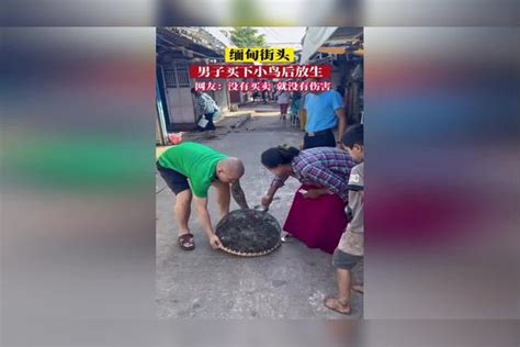 街头男子买下小鸟后放生，网友：没有买卖就没有伤害。
