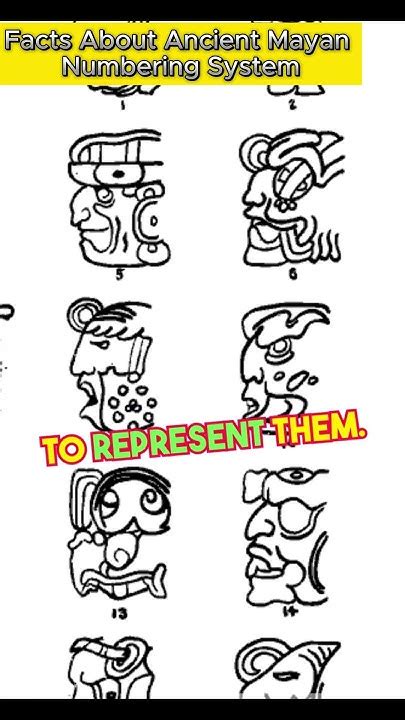 Interesting Facts About Ancient Mayan Numbering System 🤯 Facts