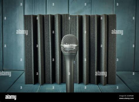 Vocal And Chorus Microphone With Grille And Capsule In The Foreground Professional Metallic