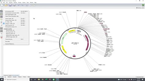 SnapGene 初学者使用向导 北京环中睿驰科技有限公司