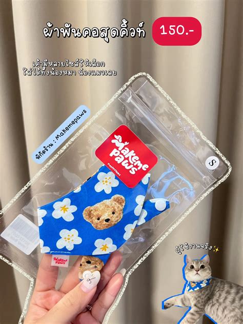 💥 6 6 ป้ายยาไอเท็มน้องแมว ในงบหลักร้อย แกลเลอรีที่โพสต์โดย Firstssc