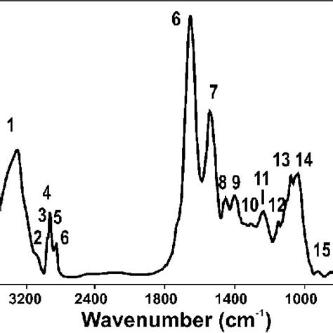 An Average Ft Ir Spectrum Of Mouse Liver Tissue In The 4000 450 Cm À1 Download Scientific
