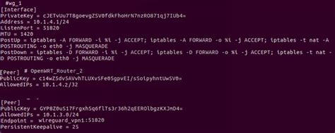 Wireguard With Ospf And Static Routes Network And Wireless Configuration Openwrt Forum