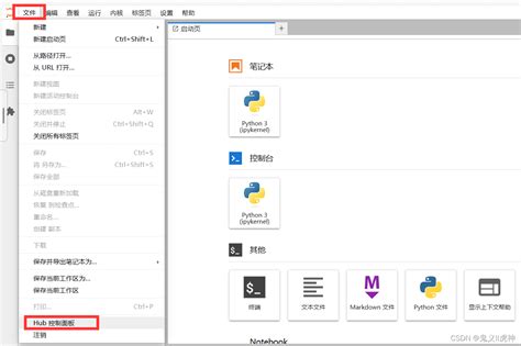 使用docker安装jupyterhub Csdn博客