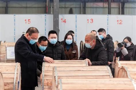 区委书记彭长林一行莅临我公司调研 四川威鹏电缆制造股份有限公司