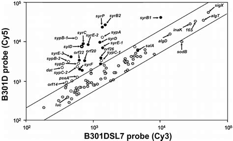 Log Plot Of Microarray Signals Obtained Using B301d And B301dsl7 Sala