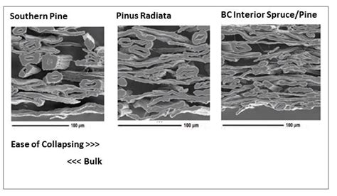 A Technical Look At Pulp And Paper Fiber