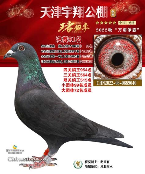 天津市宇翔赛鸽公棚照片查看 中国信鸽信息网各地公棚