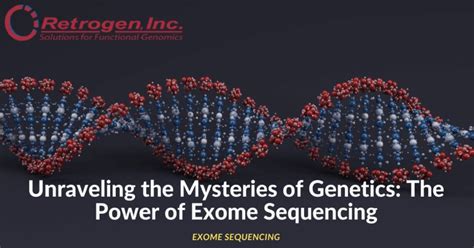 Mastering Exome Sequencing A Comprehensive Guide