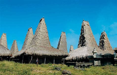 Iconic Island Sumba Indonesia Expat