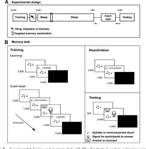 Figure 1 From The Effect Of Zolpidem On Targeted Memory Reactivation During Sleep Semantic Scholar