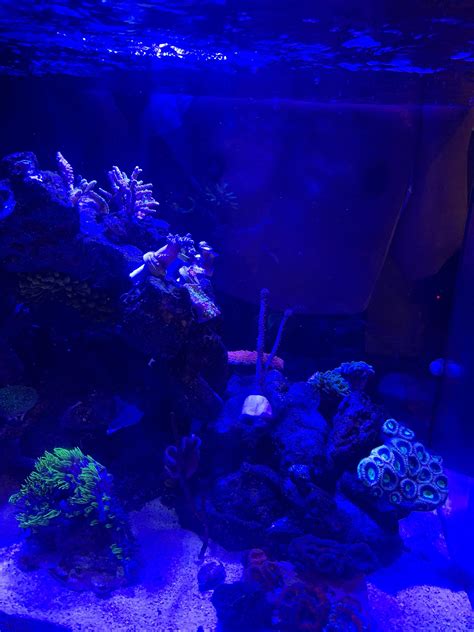 No Title F Rphgonewild