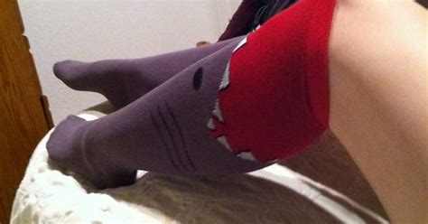I Like Sharks Imgur