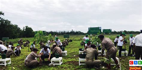 Tree Planting Activities Yum Yum