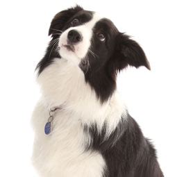 Github Lukevs Picswap Rearranges One Image To Look Like Another