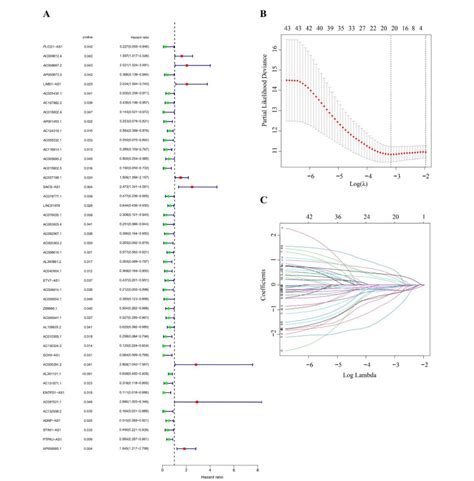 Identification And Validation Of A New Pyroptosis Associated Lncrna