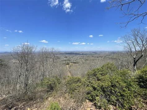 Best Forest Trails In Hickory Alltrails