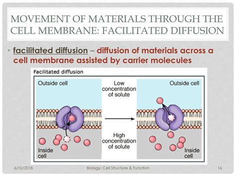 Chapter 5 Cell Structure And Function Ppt Download