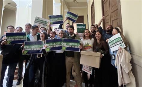 Congreso Volvió A Hundir Proyecto Para Regular El Consumo De Cannabis
