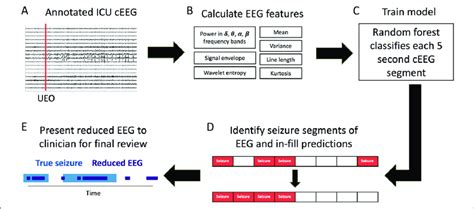 seizure detection and data reduction methods a we use clinically