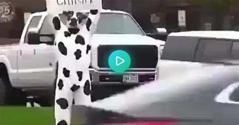 More Cows More Chicken Album On Imgur