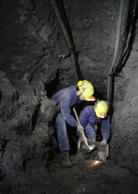铁器时代排泄物研究表明：2700年前人类就开始食用蓝纹奶酪和啤酒 神秘的地球 科学 自然 地理 探索