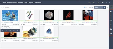 Asset Package Viewer Learning And Support Docs